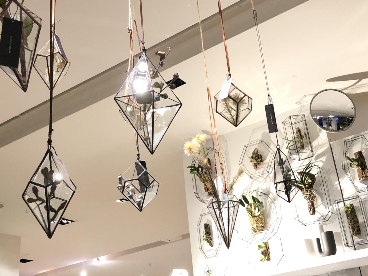 西冨なつきさんPOP UP @ザコンランショップ丸の内 | cotoha BLOG